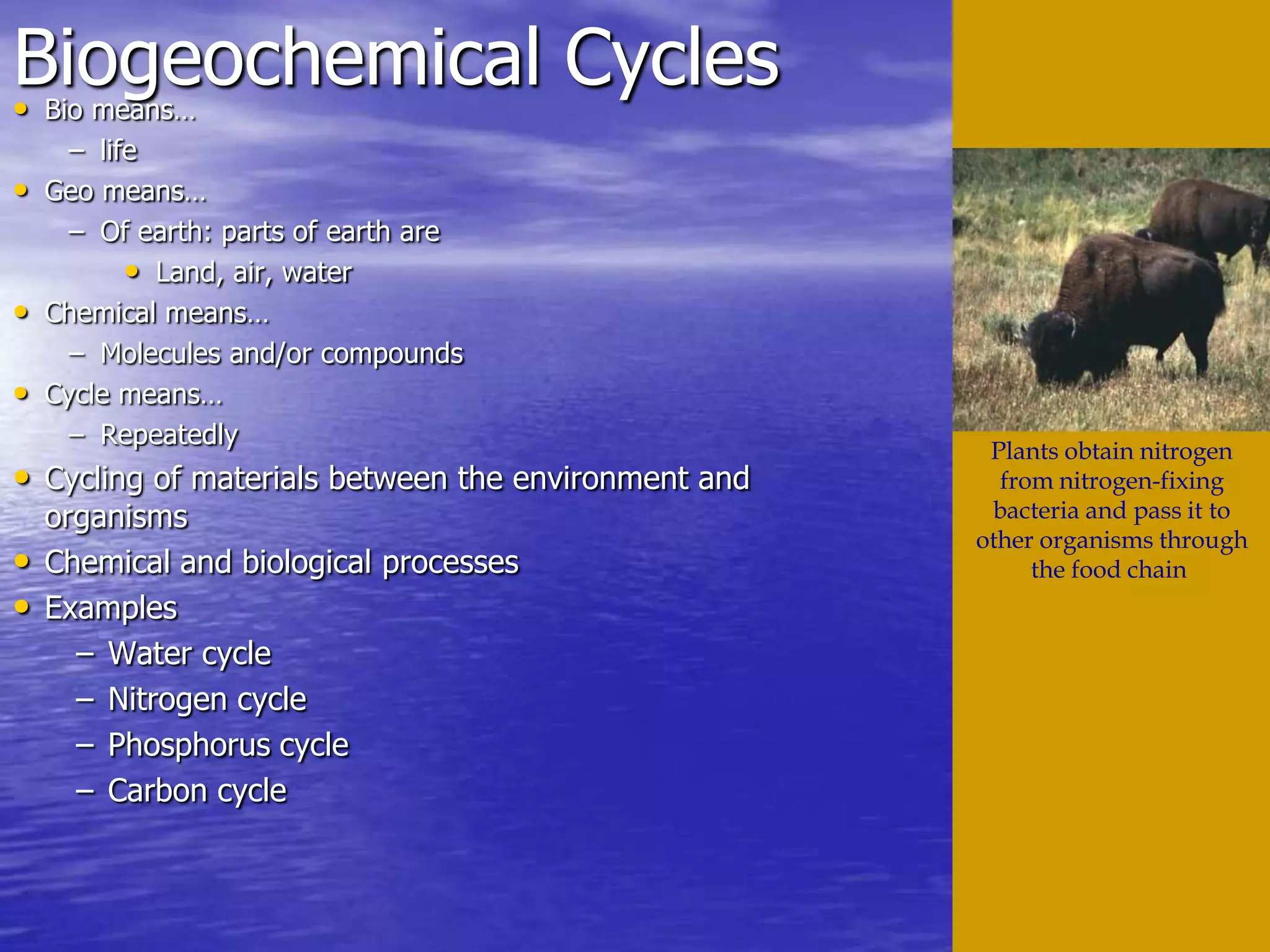 Biogeochemical cycles and conservation ecology 2010 edition | PPT