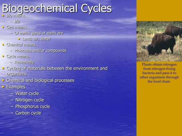 Biogeochemical cycles and conservation ecology 2010 edition | PPT