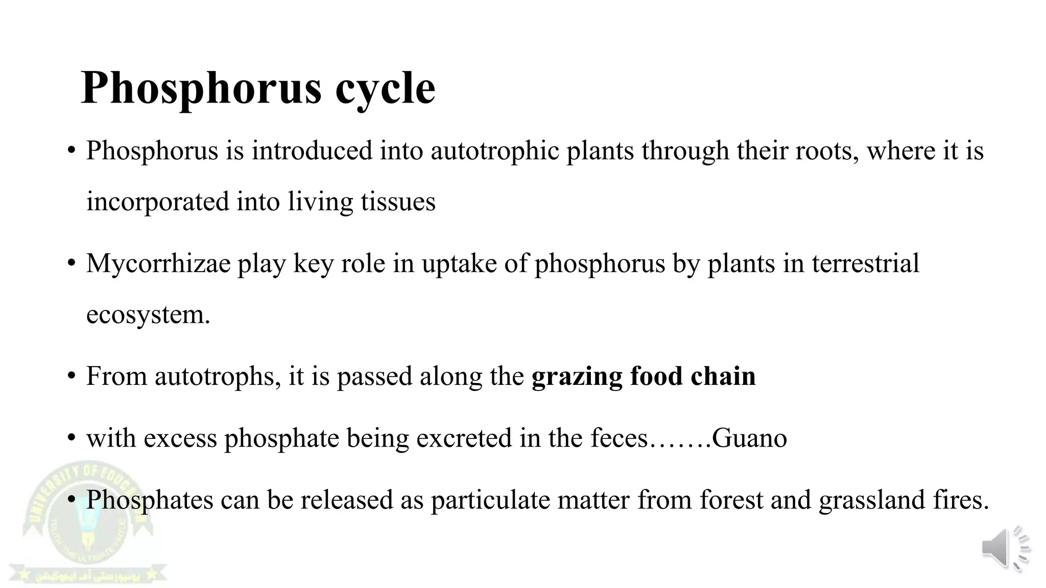 Biogeochemical cycles and phosphorous cycle | PPTX