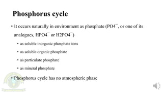 Biogeochemical cycles and phosphorous cycle | PPT
