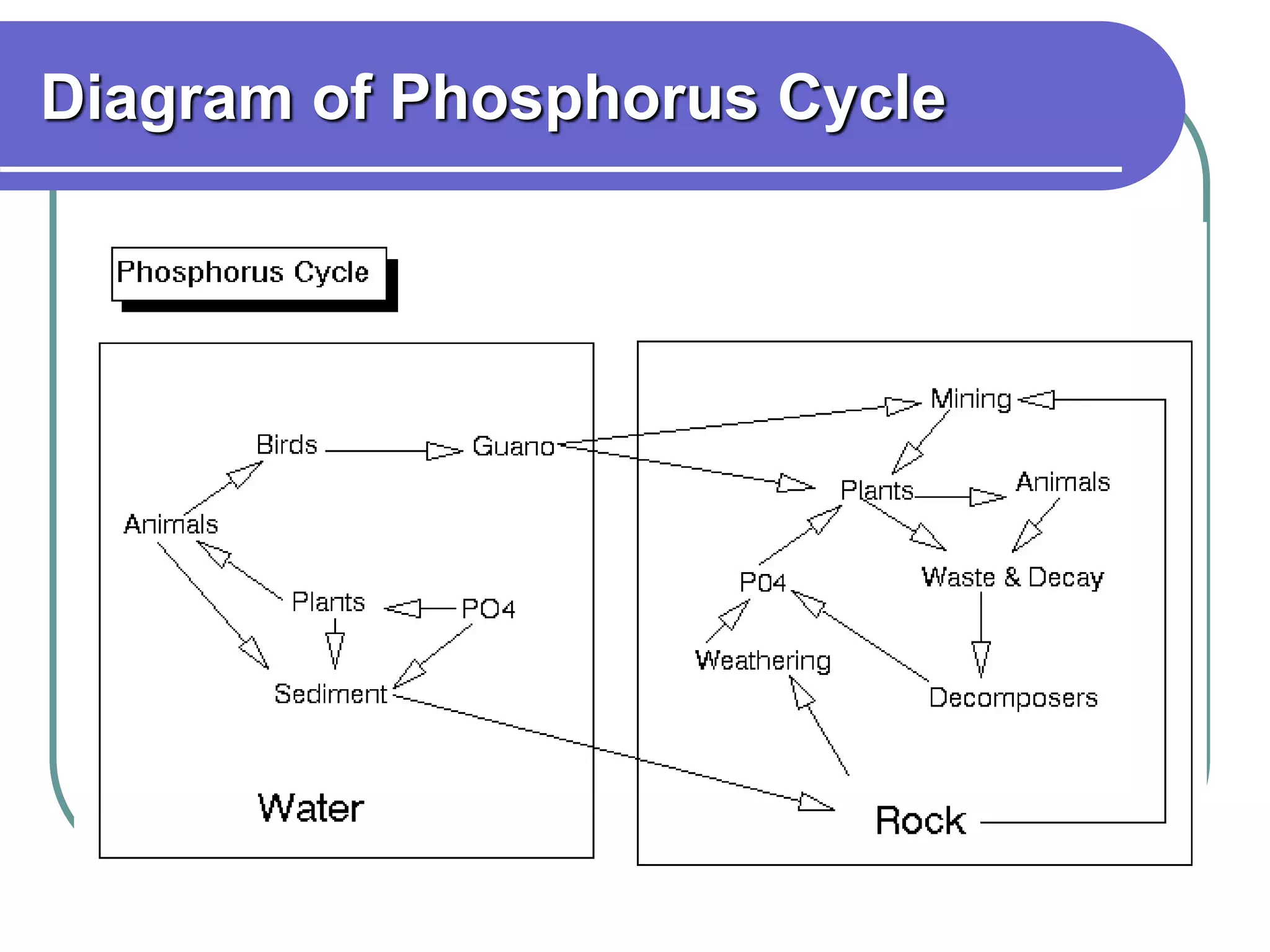 Biogeochemical cycles chapter_5 | PPT | Science