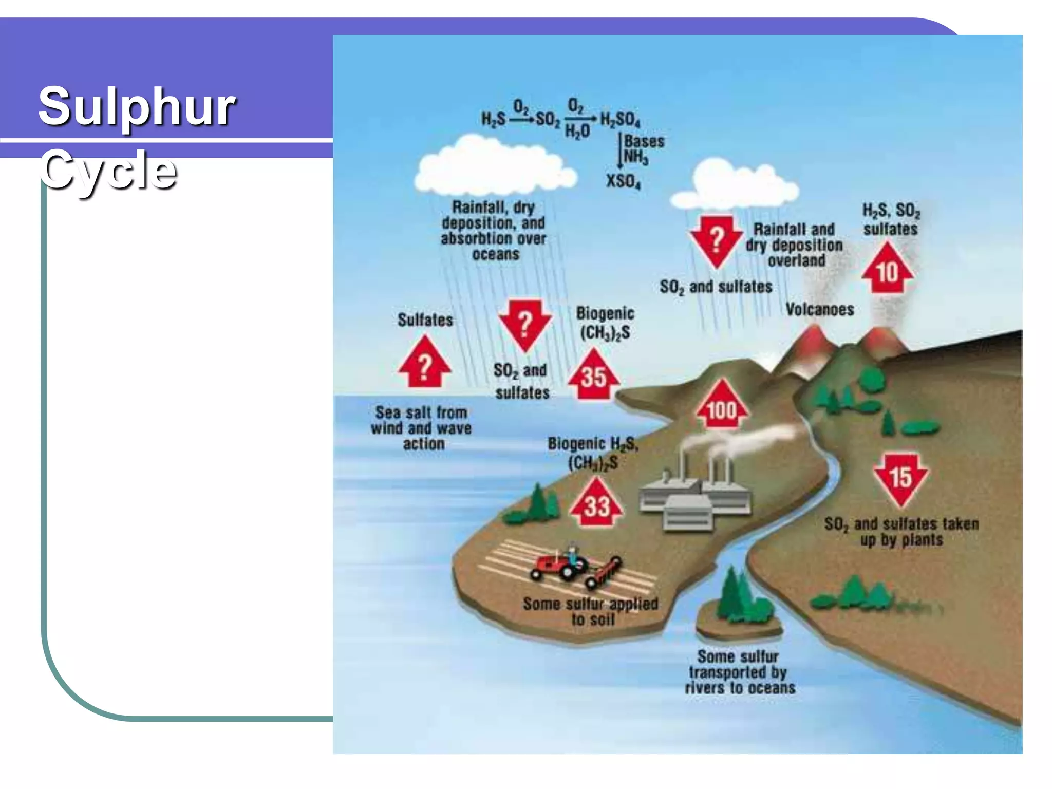Biogeochemical cycles chapter_5 | PPT | Science
