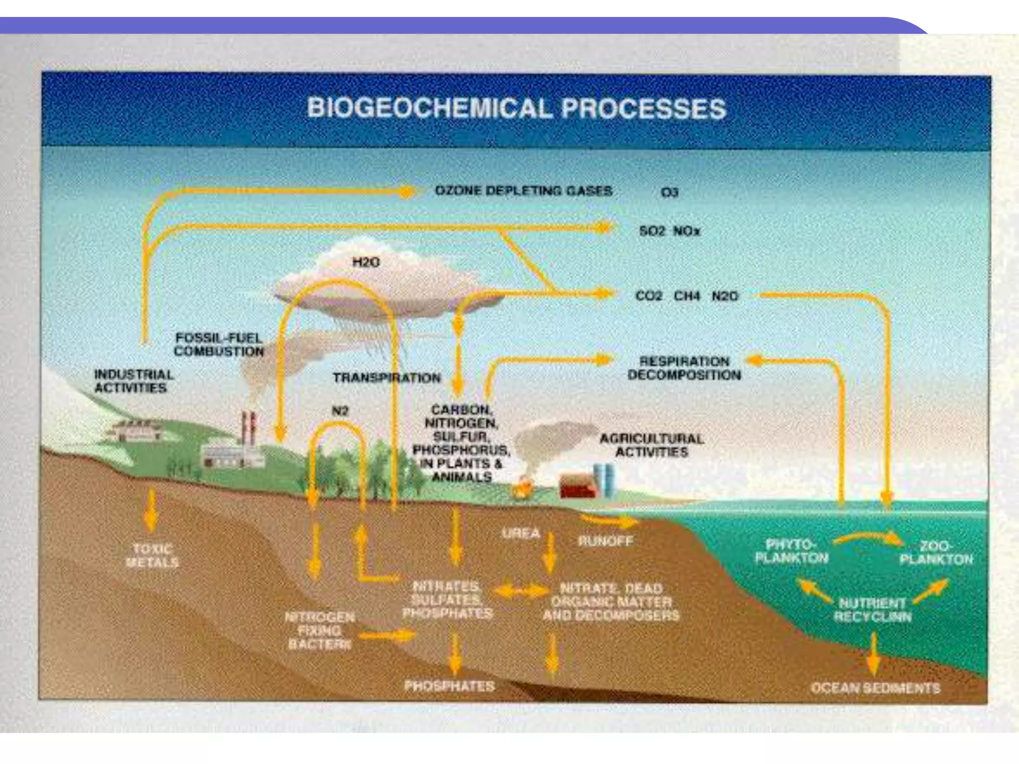 Biogeochemical cycles chapter_5 | PPT