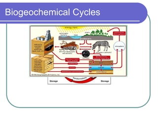 Biogeochemical cycles chapter_5 | PPT
