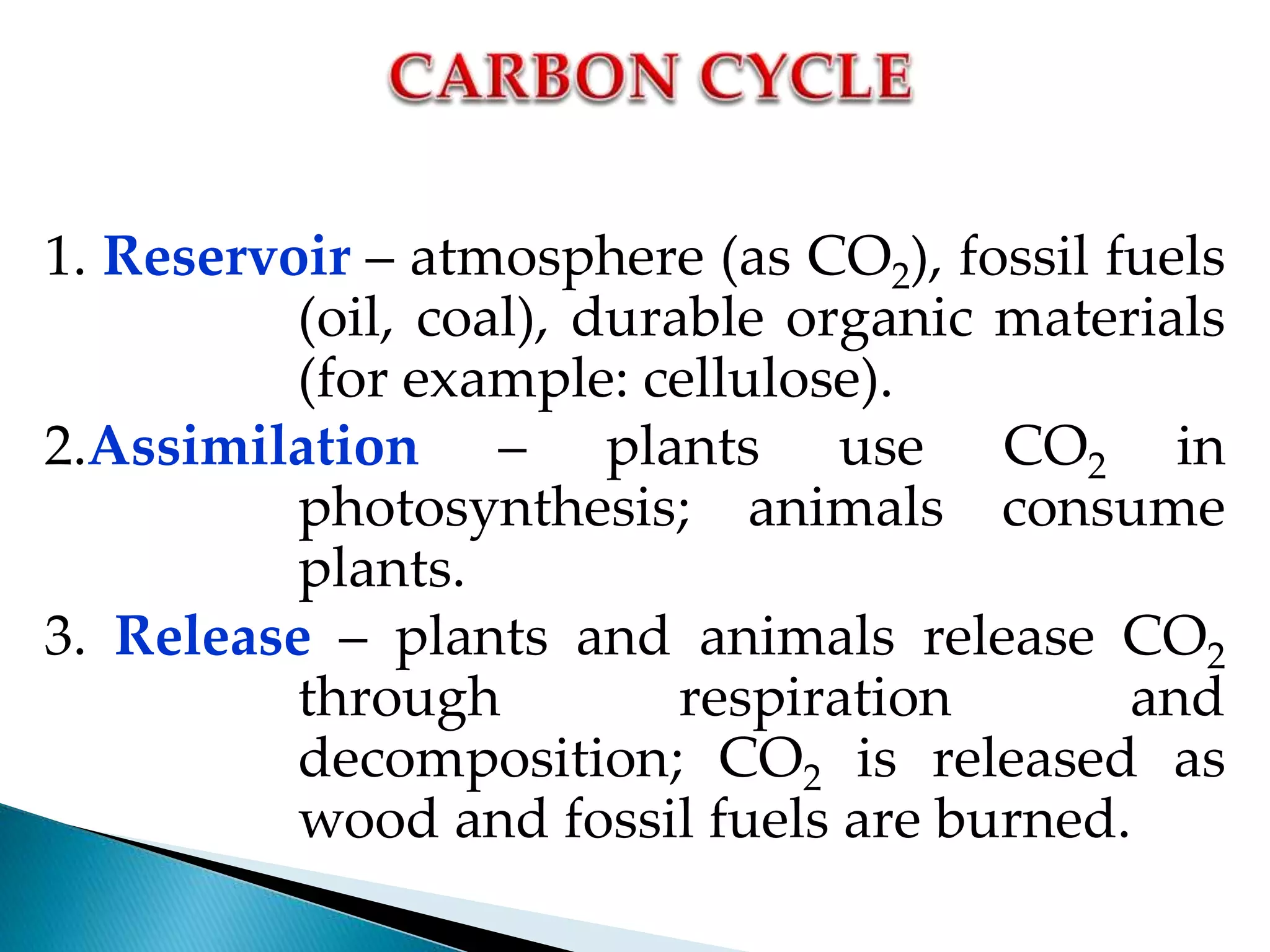 Biogeochemical Cycles/Environmental Science | PPTX