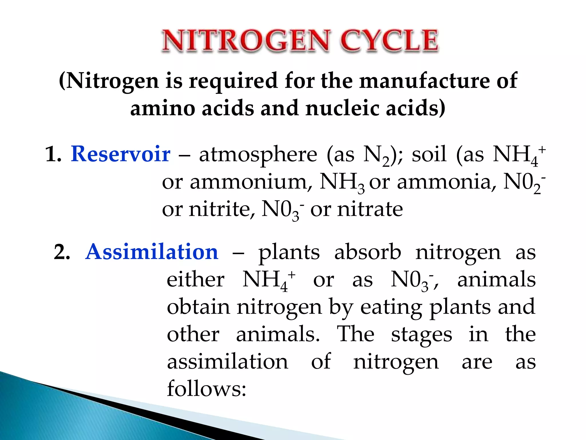 Biogeochemical Cycles/Environmental Science | PPTX