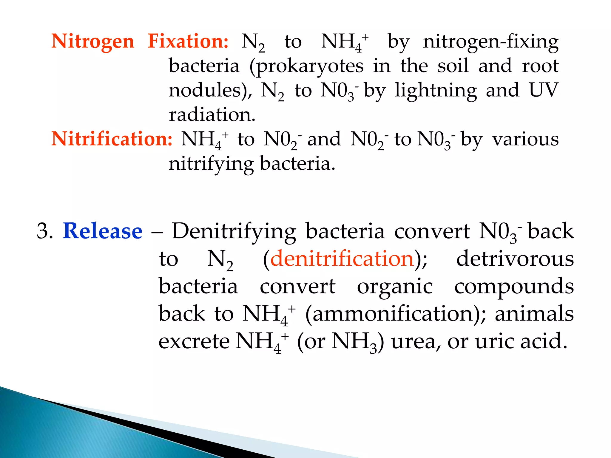 Biogeochemical Cycles/Environmental Science | PPTX
