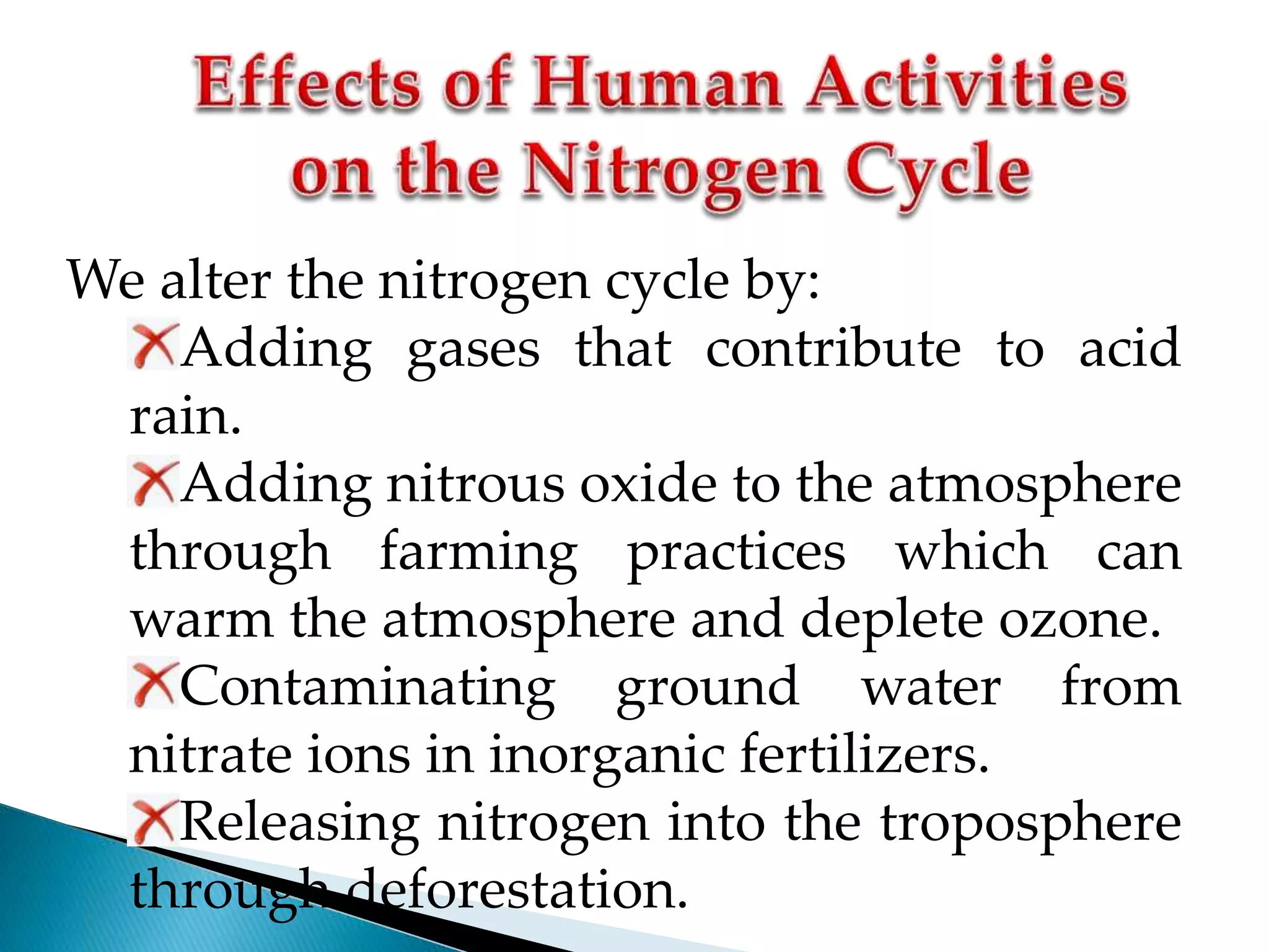 Biogeochemical Cycles/Environmental Science | PPTX