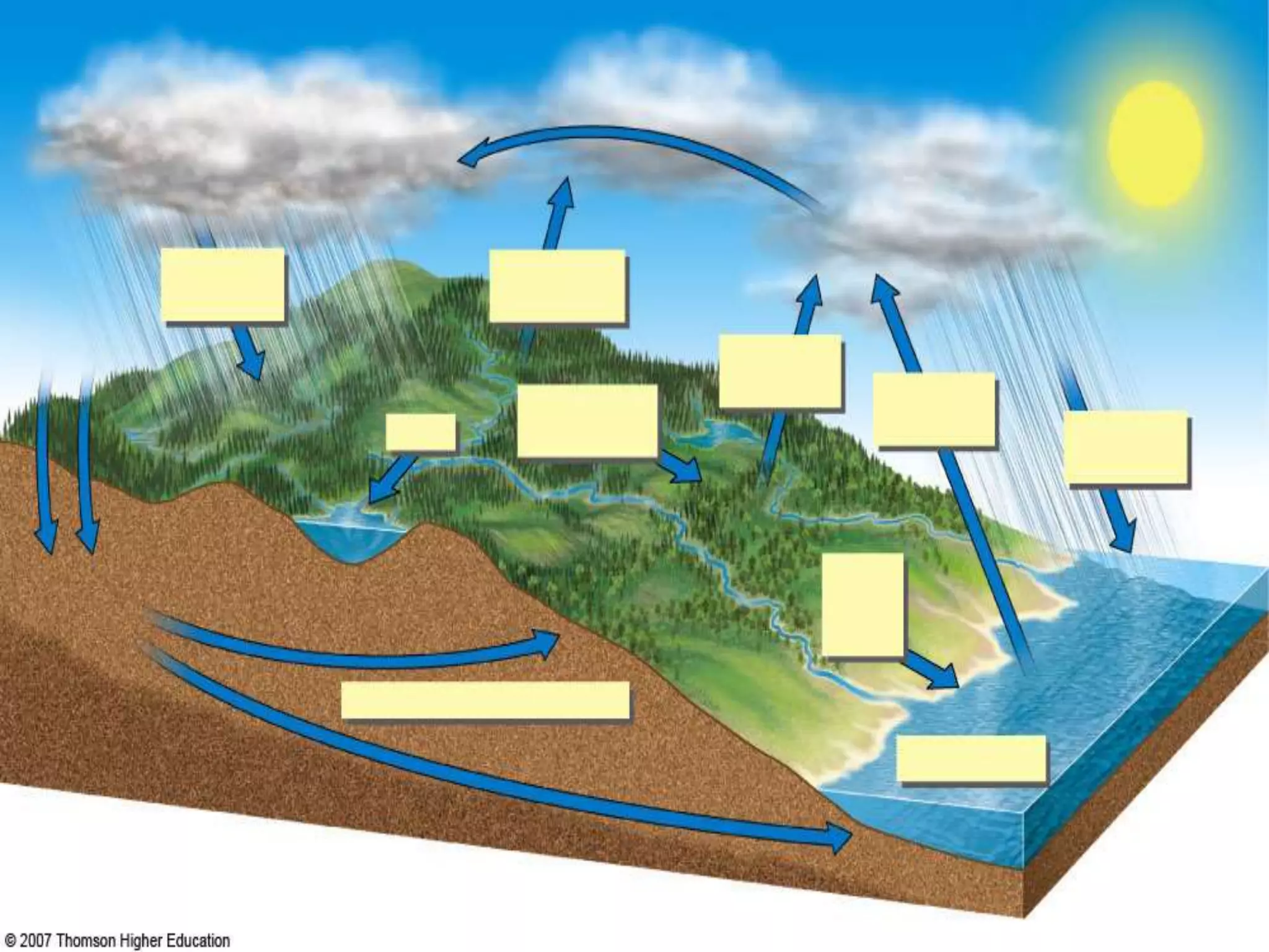 Biogeochemical Cycles/Environmental Science | PPTX
