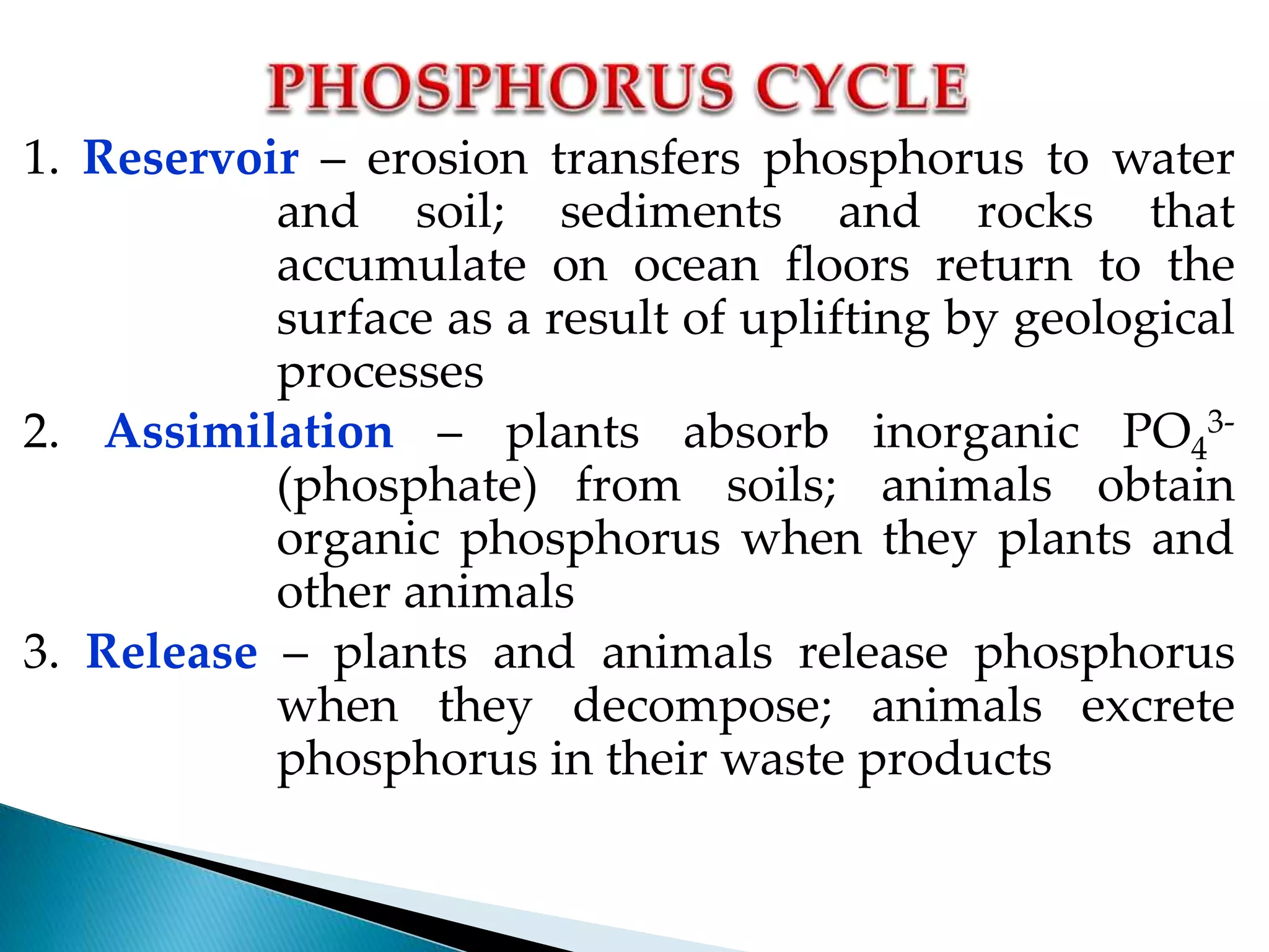 Biogeochemical Cycles/Environmental Science | PPTX