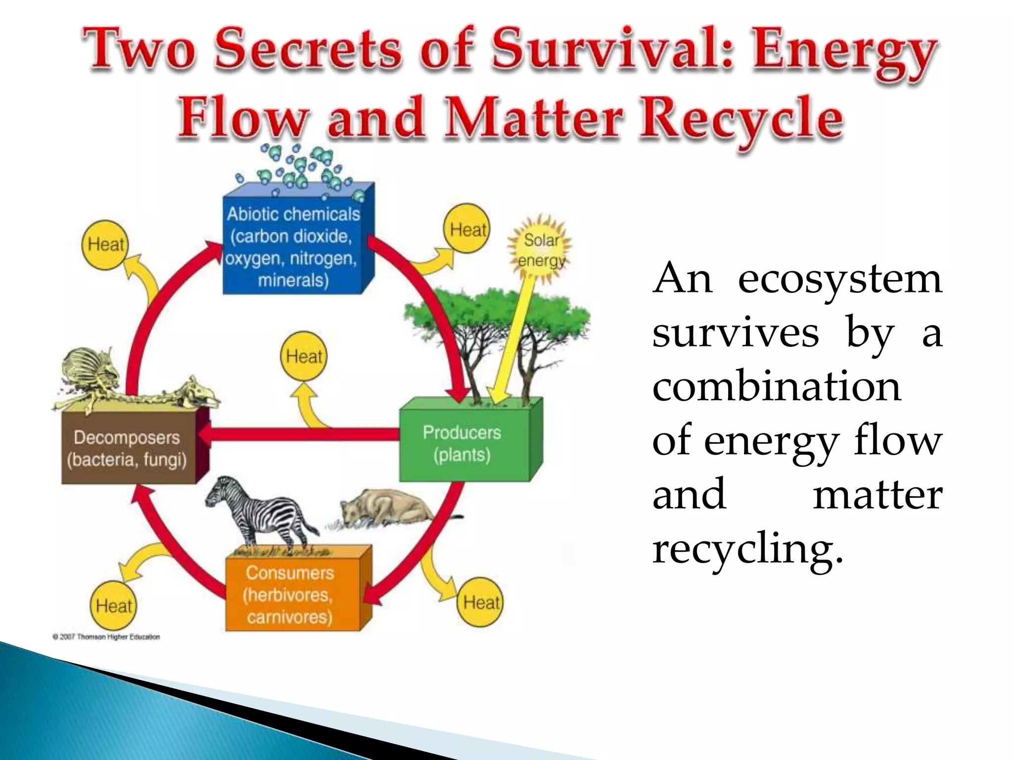 Biogeochemical Cycles/Environmental Science | PPTX