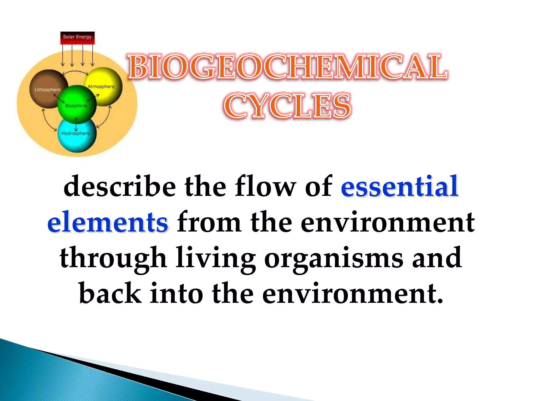 Biogeochemical Cycles/Environmental Science | PPTX