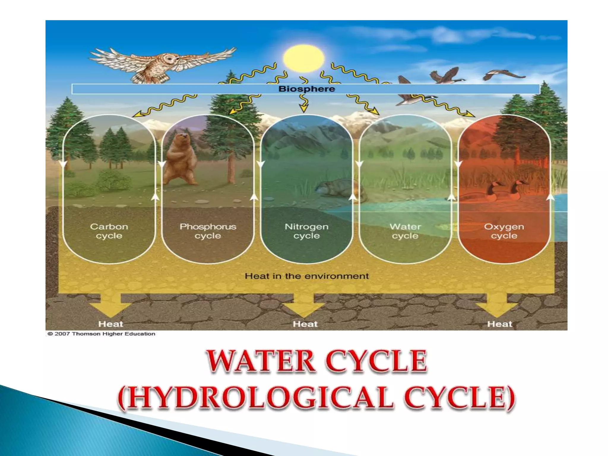 Biogeochemical Cycles/Environmental Science | PPTX