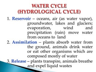 Biogeochemical Cycles/Environmental Science | PPTX