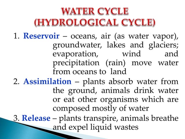 Biogeochemical Cycles/Environmental Science | PPTX