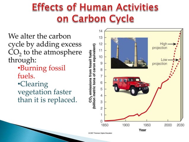 Biogeochemical Cycles/Environmental Science | PPTX