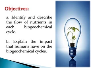 Biogeochemical Cycles/Environmental Science | PPTX