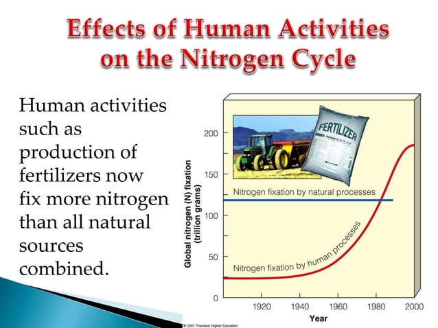 Biogeochemical Cycles/Environmental Science | PPTX