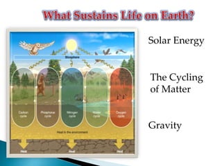 Biogeochemical Cycles/Environmental Science | PPTX