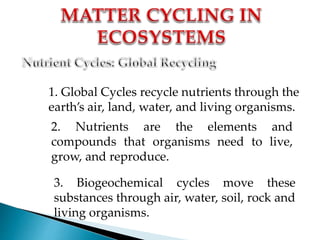 Biogeochemical Cycles/Environmental Science | PPTX