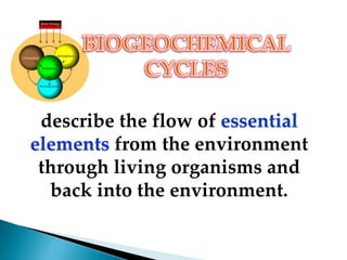 Biogeochemical Cycles/Environmental Science | PPTX