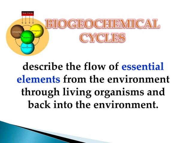 Biogeochemical Cycles/Environmental Science | PPTX