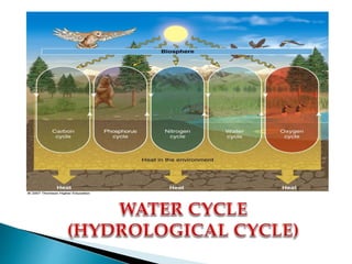 Biogeochemical Cycles/Environmental Science | PPTX