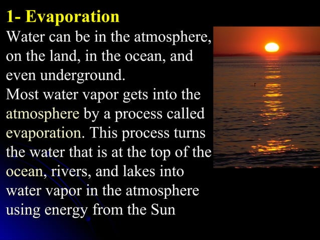 Biogeochemical cycles lecturer | PPT