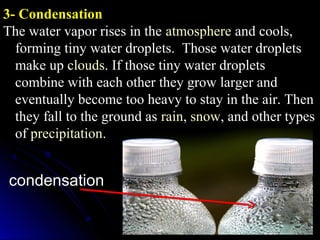 Biogeochemical cycles lecturer | PPT