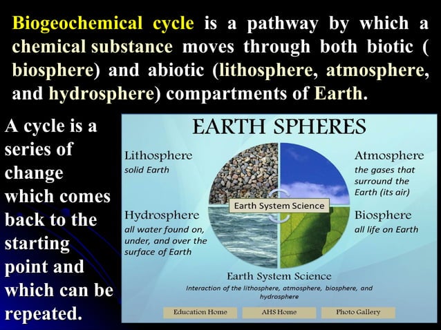 Biogeochemical cycles lecturer | PPT