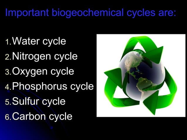 Biogeochemical cycles lecturer | PPT