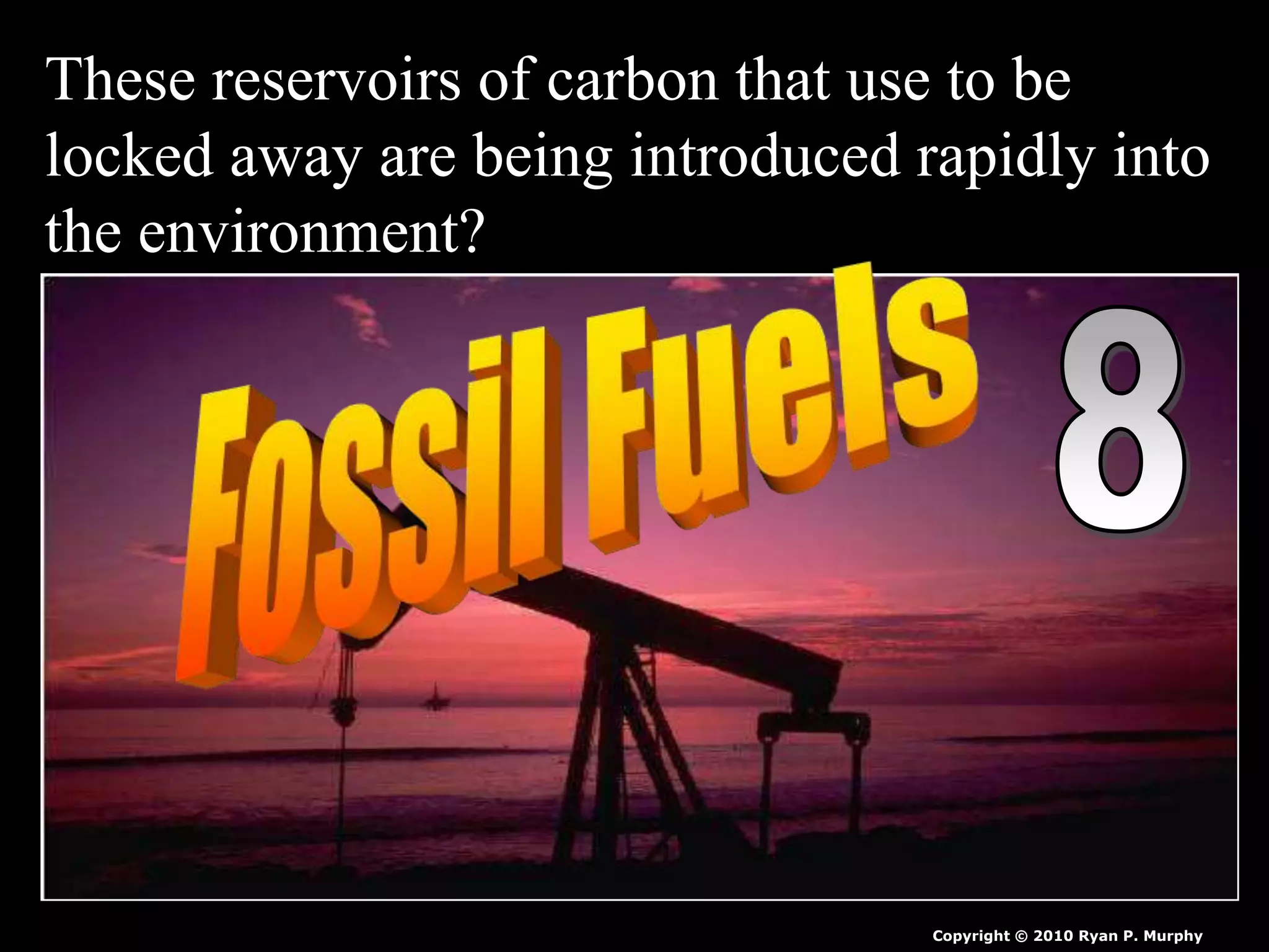 Biogeochemical Cycles PowerPoint Review Game, Quiz, Water Cycle, Carbon ...
