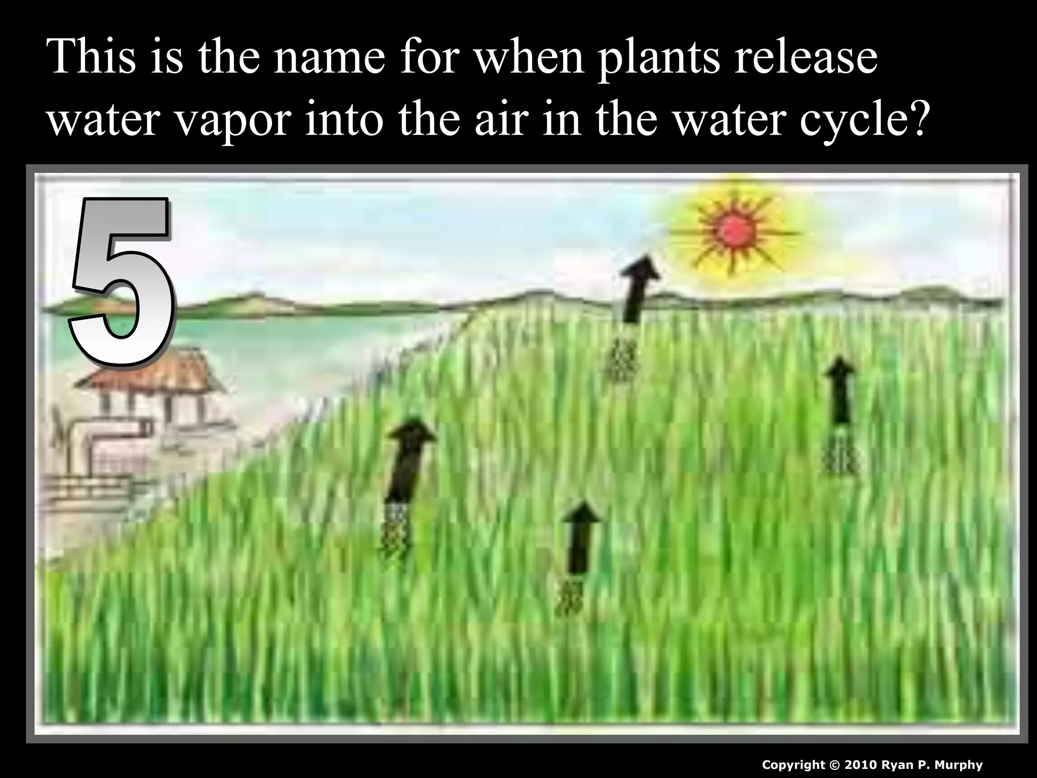 Biogeochemical Cycles PowerPoint Review Game, Quiz, Water Cycle, Carbon ...