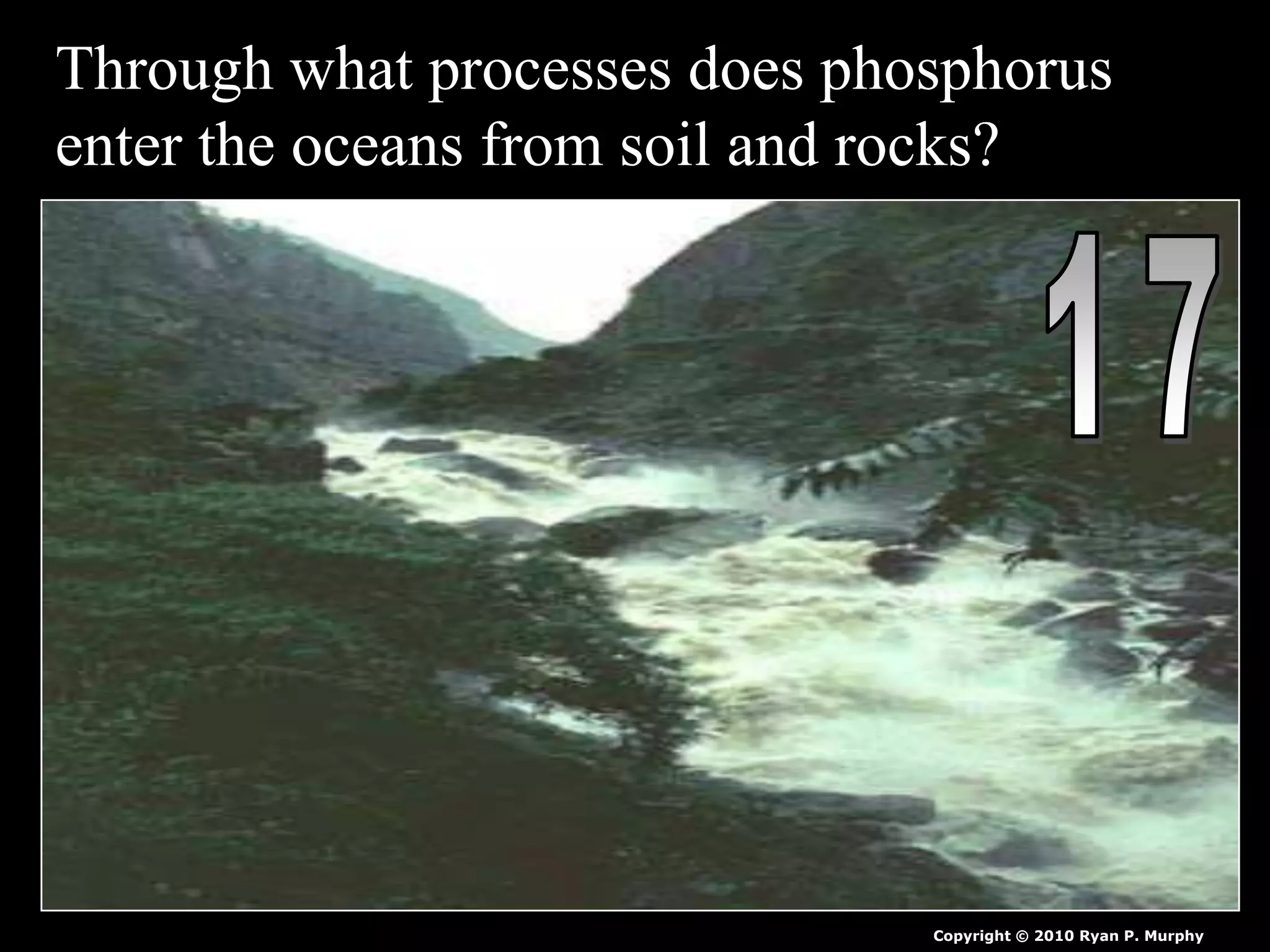 Biogeochemical Cycles PowerPoint Review Game, Quiz, Water Cycle, Carbon ...