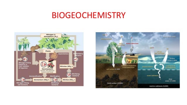 Biogeochemistry Introductory Slides