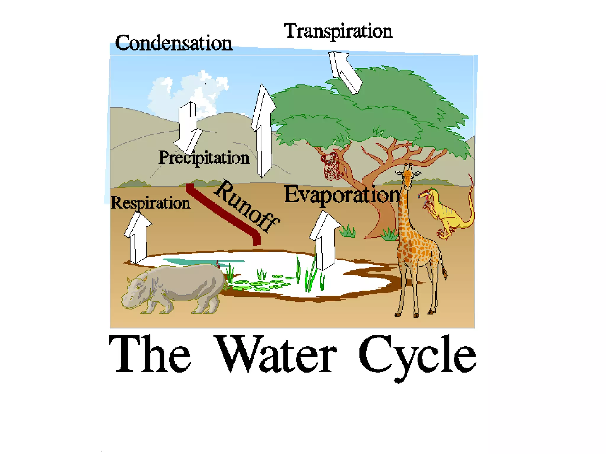Biogeo cycles | PPT