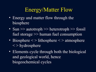 Biogeocycles | PPT