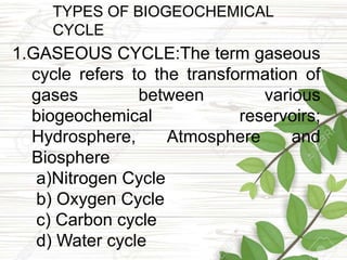 Biogeocycles | PPT