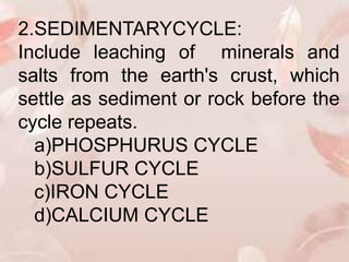 Biogeocycles | PPT