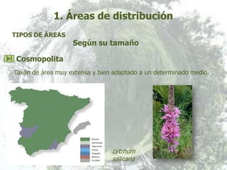 Biogeografía | PPTX