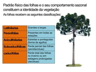 Biogeografia | PPTX