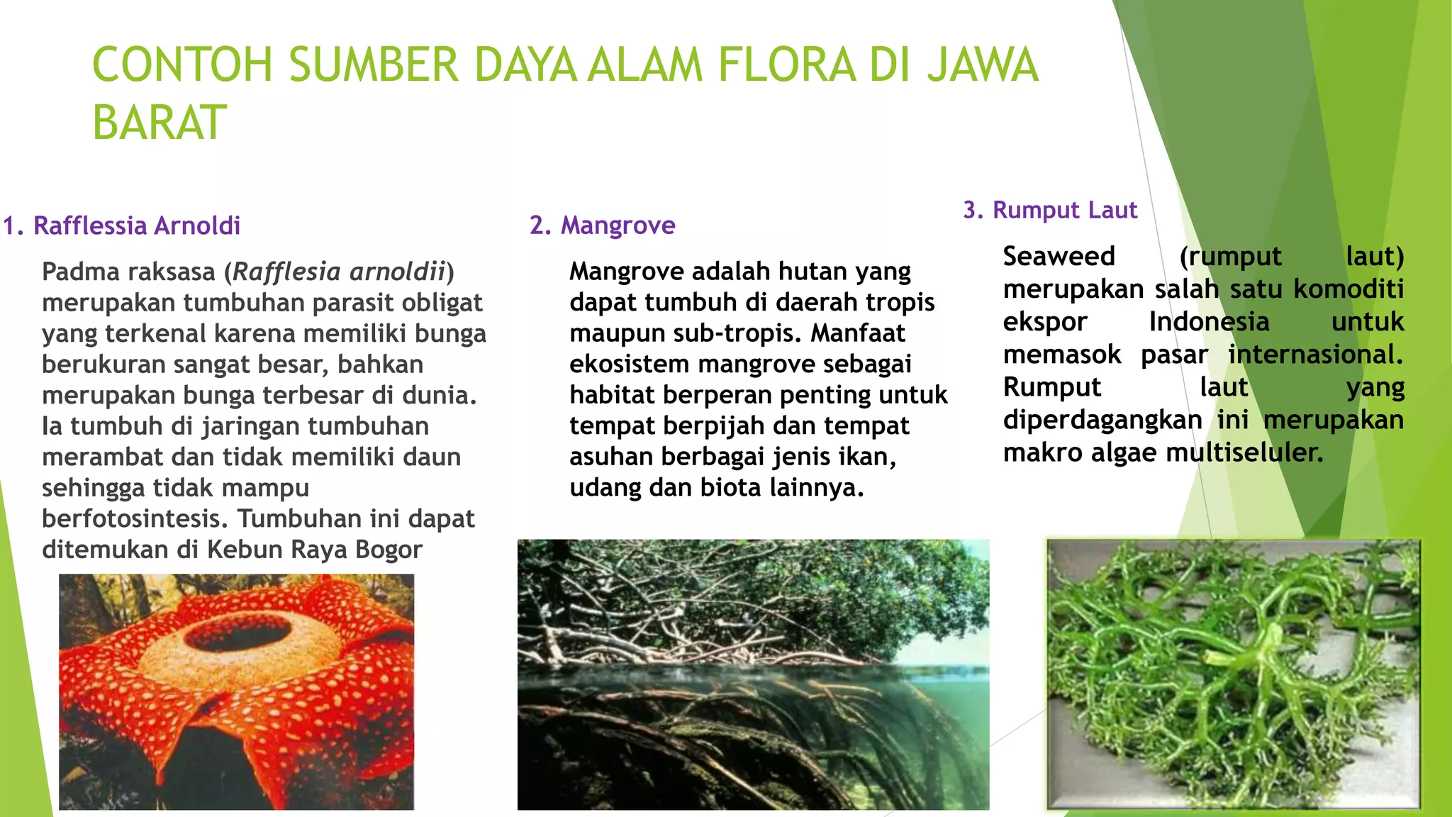 Biogeografi dan sosioantropologi jawa barat | PPTX