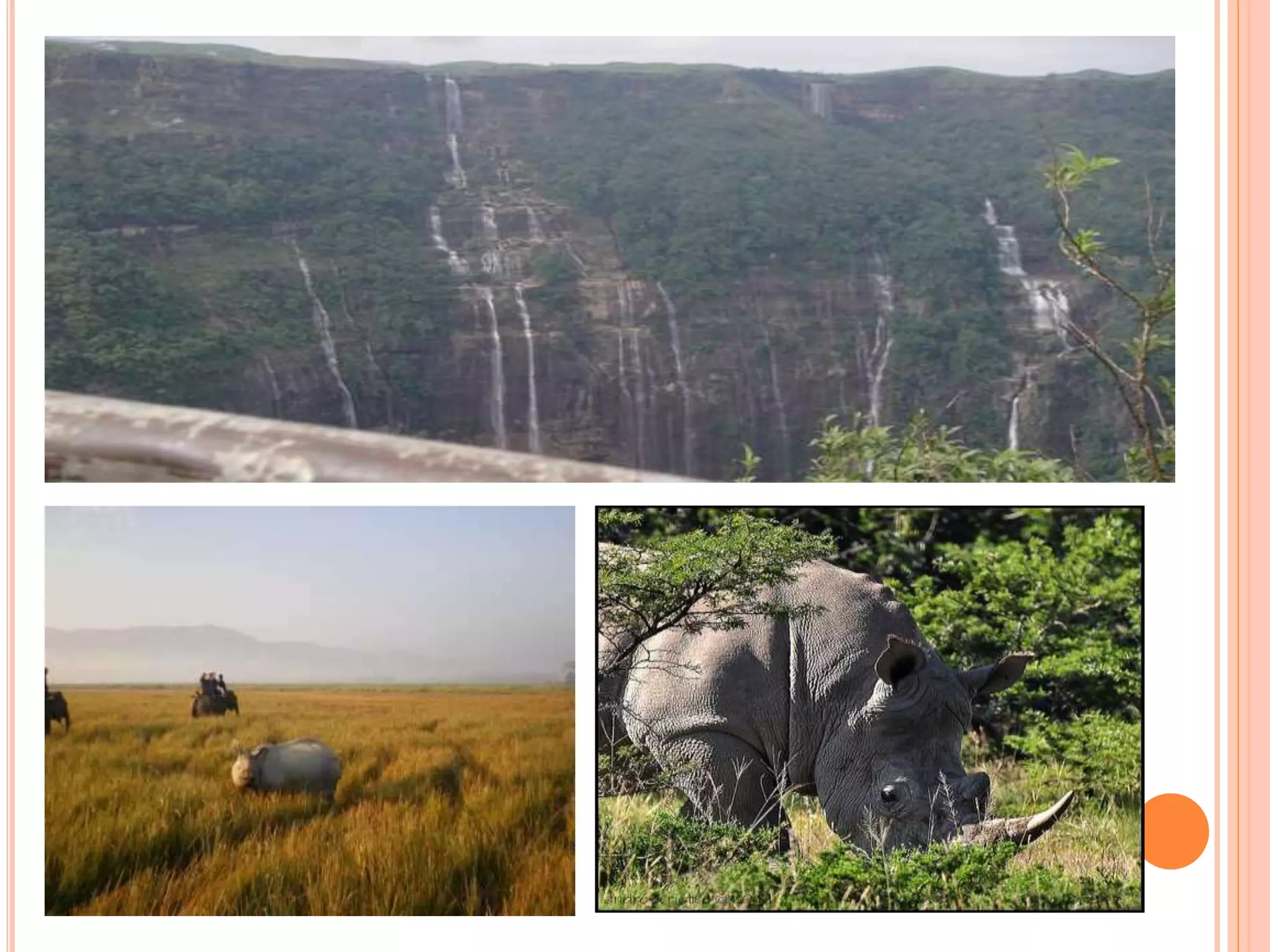 Biogeographical classification of india | PPTX