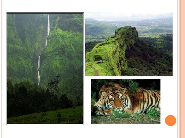 Biogeographical classification of india | PPTX