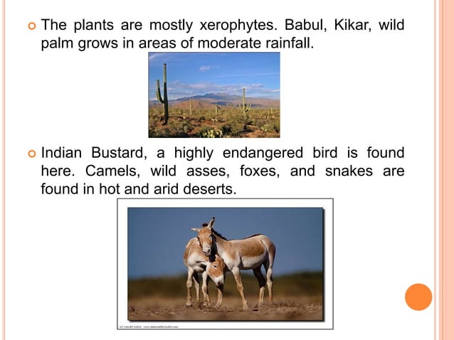 Biogeographical classification of india | PPTX
