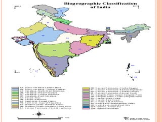 Biogeographical classification of india | PPTX