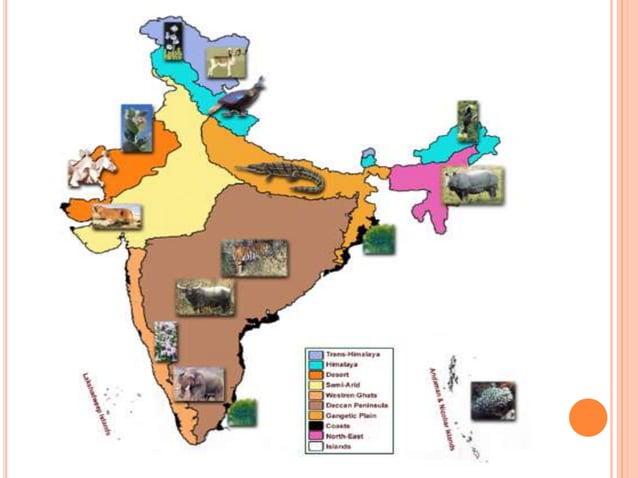 Biogeographical classification of india | PPTX