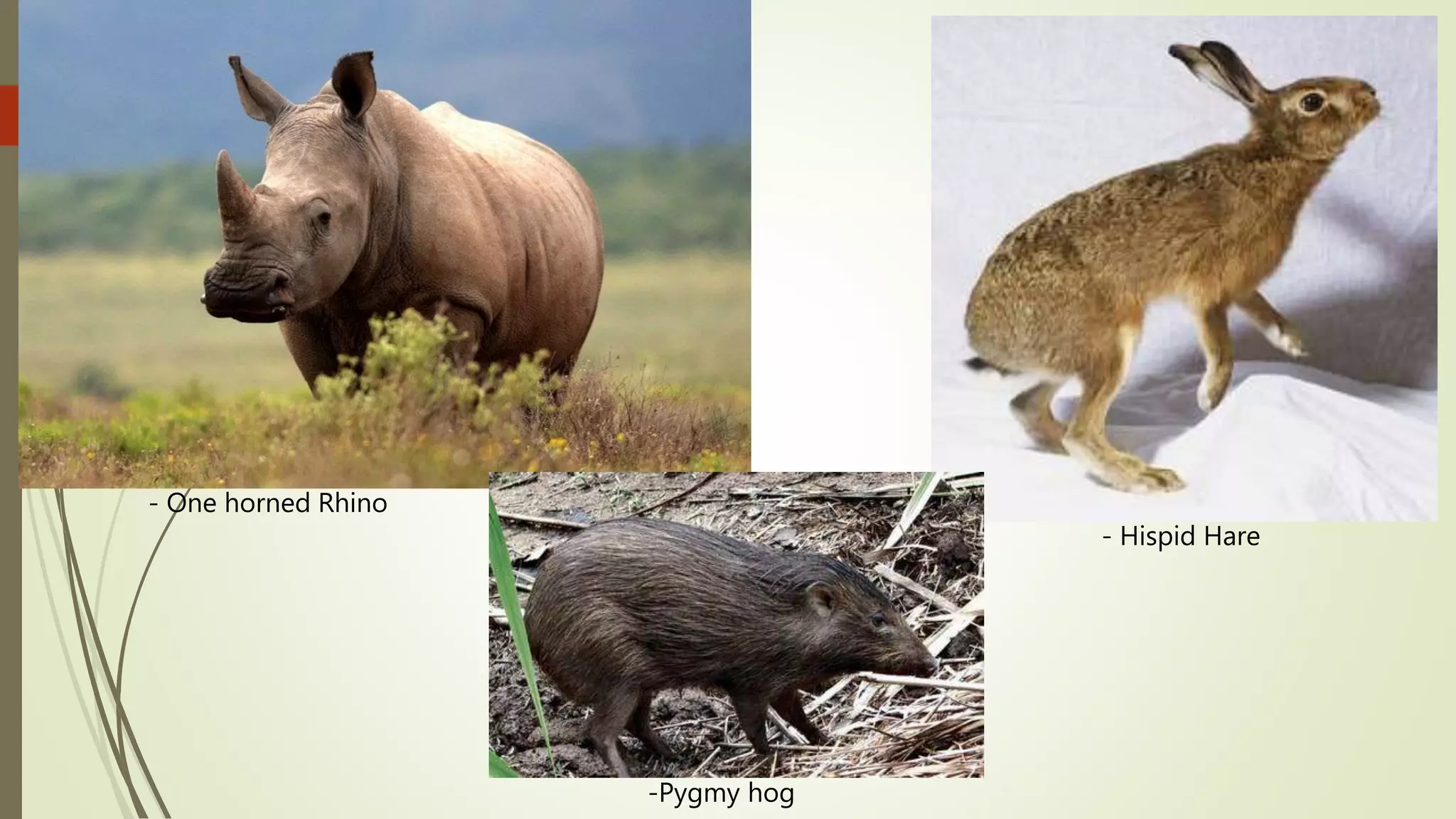 Biogeographic regions of india | PPTX