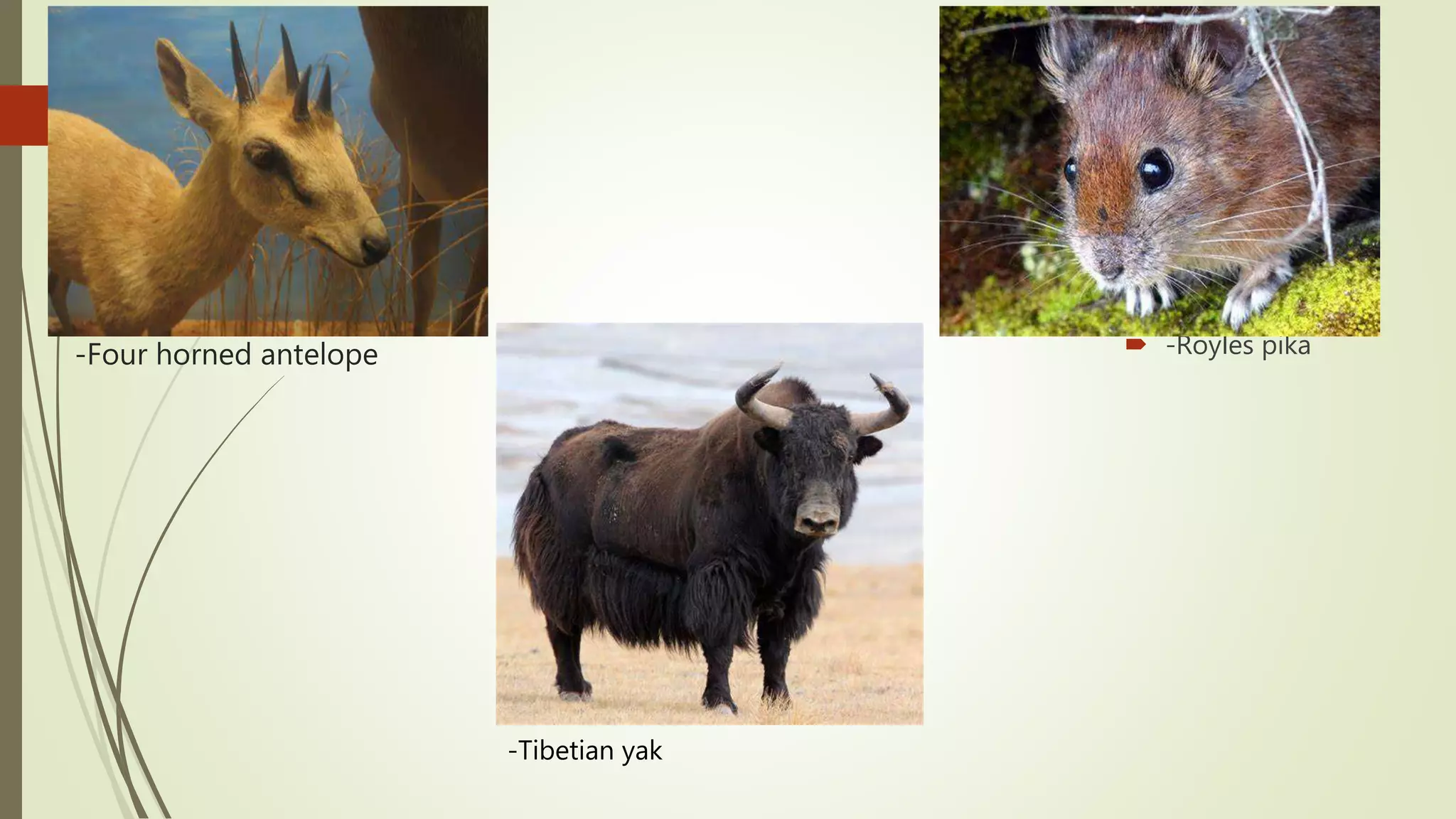 Biogeographic regions of india | PPTX