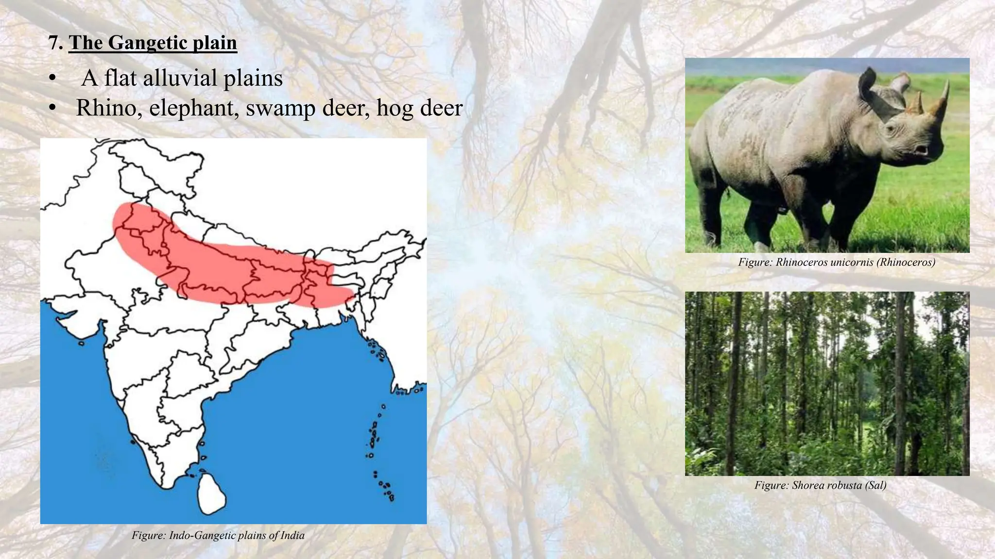THE BIOGEOGRAPHIC ZONES OF INDIA..ppttxx | PPTX